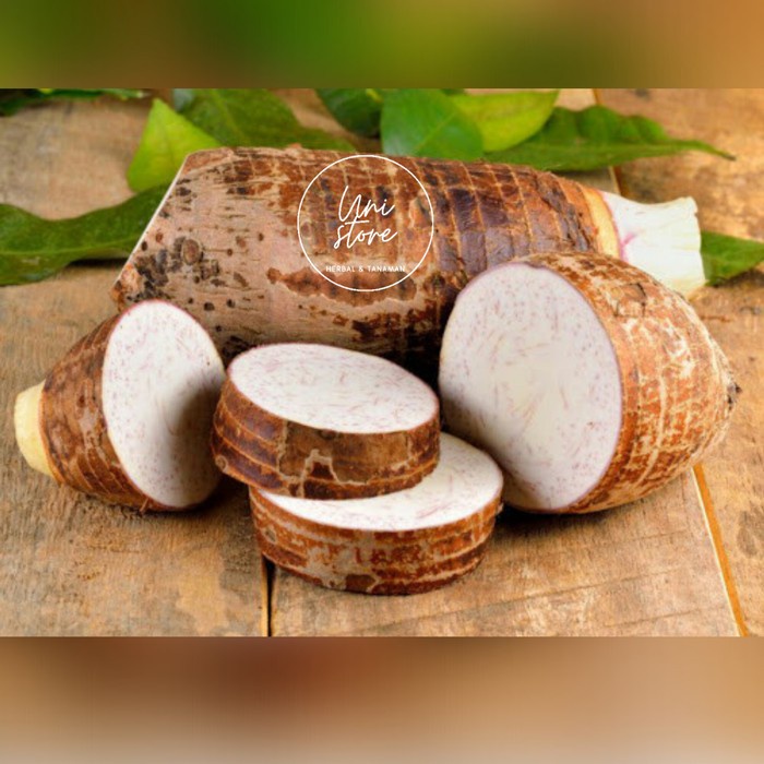 Jual 1kg Ubi talas fresh empuk dan pulen - Umbi talas | Shopee Indonesia