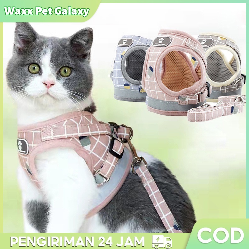 Jual Tali Tuntun Harness Kucing Harness Hewan Anjing Kucing Rompi Dog ...