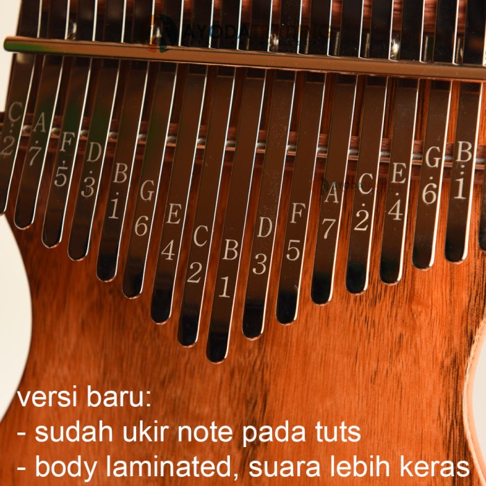 Jual Paket Authentic Gecko Kalimba K17CAP Alat Musik Tradisional ...