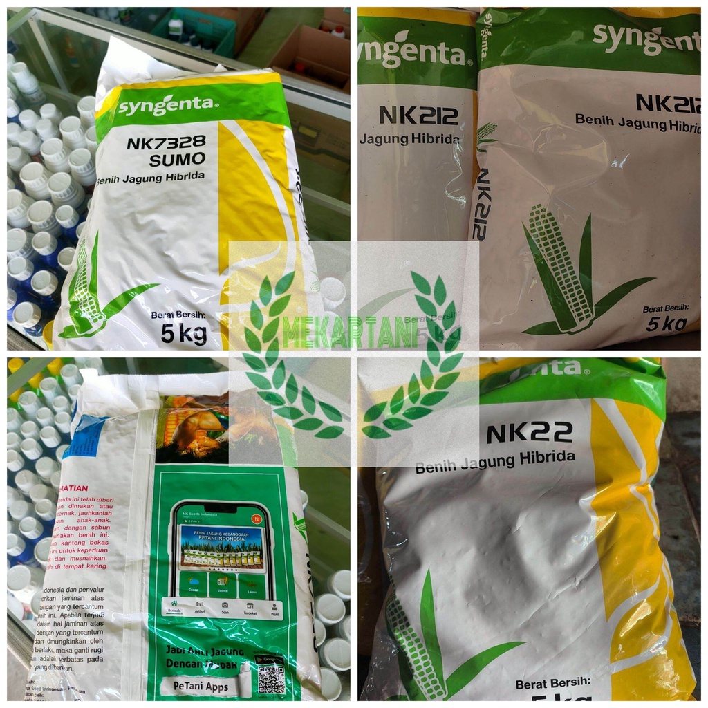 Jual ORIGINAL Benih jagung 5kg benih NK 212 5 kg /Nk SUMO / Nk22 BIBIT JAGUNG Hibrida NK22 ...