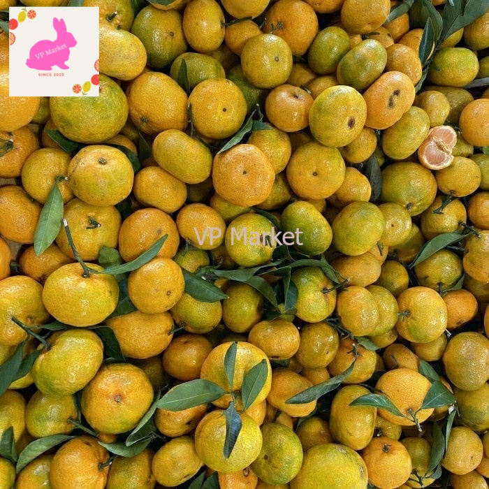 Jual Jeruk Shantang Atumn Fresh 1 Kg | Shopee Indonesia