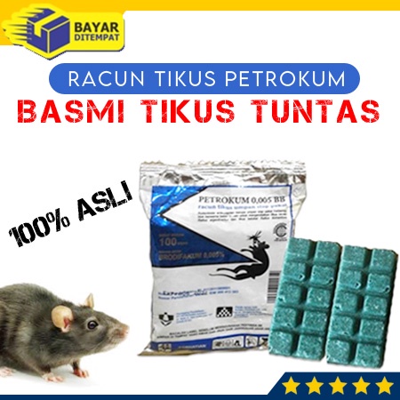 Jual Petrokum Racun Tikus Ampuh Mati Kering PERTOKUM Obat Umpan Anti ...