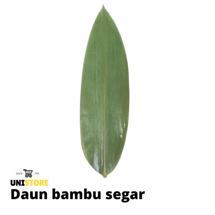 Jual Daun Bambu Segar Pilihan Untuk Bungkus Bakcang Dan Kicang - Kicang ...