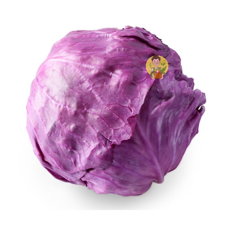 Jual Kol Merah Fresh - Sayur Instan Segar Malang | Shopee Indonesia