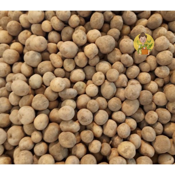 Jual Baby Potato / Kentang Mini 500 gram | Shopee Indonesia