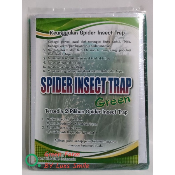 Jual Sale 12.12 Spider ec Trap isi 20 Lembar Perangkap Hama Serangga ...