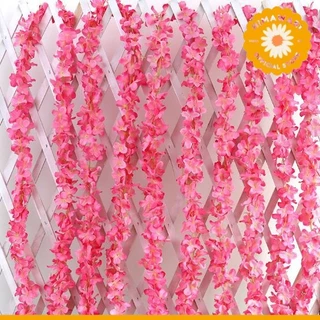 Produk HIMA INDONESIA | Shopee Indonesia