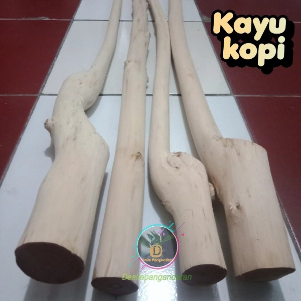 Jual kayu kopi kupas bersih 4 batang panjang 100 cm diameter 2-4 cm ...
