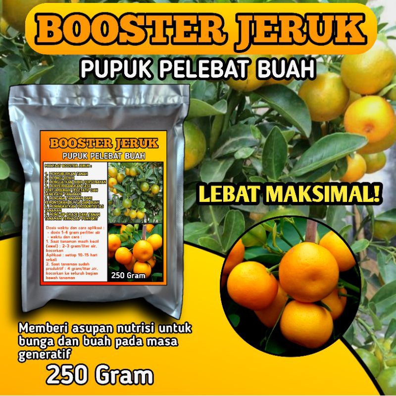 Jual pupuk booster pelebat buah JERUK nutrisi untuk bunga dan buah anti rontok kemasan 250 gram ...