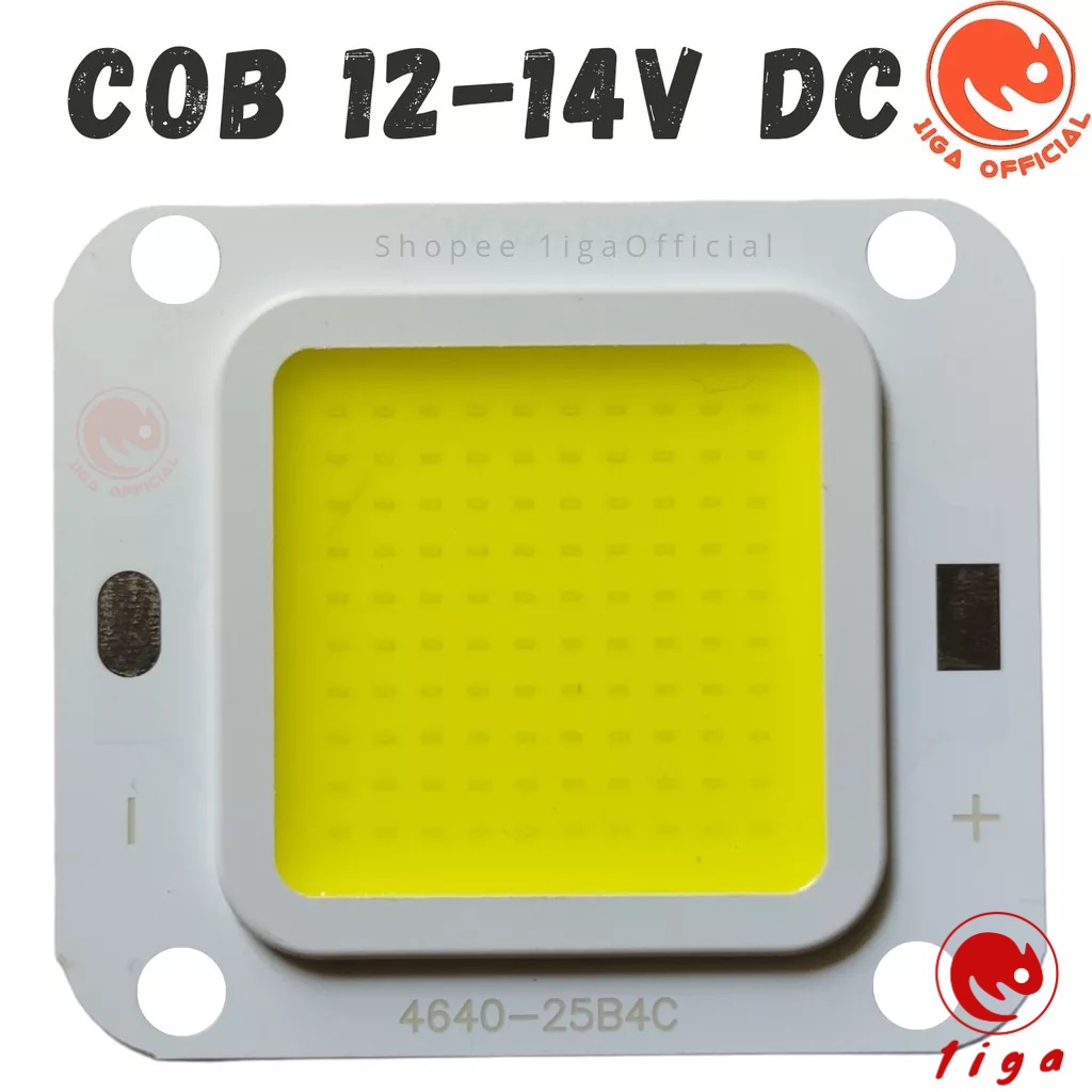 Jual Mata Lampu Led 12v 30watt 50watt Aki Baterai Accu Cob 12 Volt
