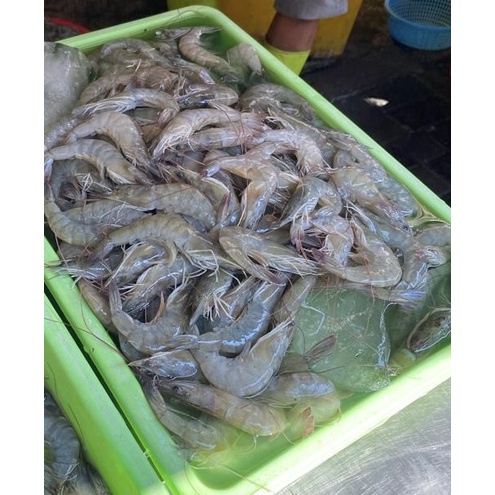 Jual Udang Vaname Udang Peci Udang Jerbung Ukuran Besar | Shopee Indonesia