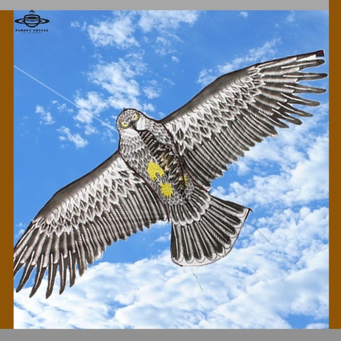 Jual LAYANG ELANG PARASUT (BLACK EAGLE KITE) | Shopee Indonesia