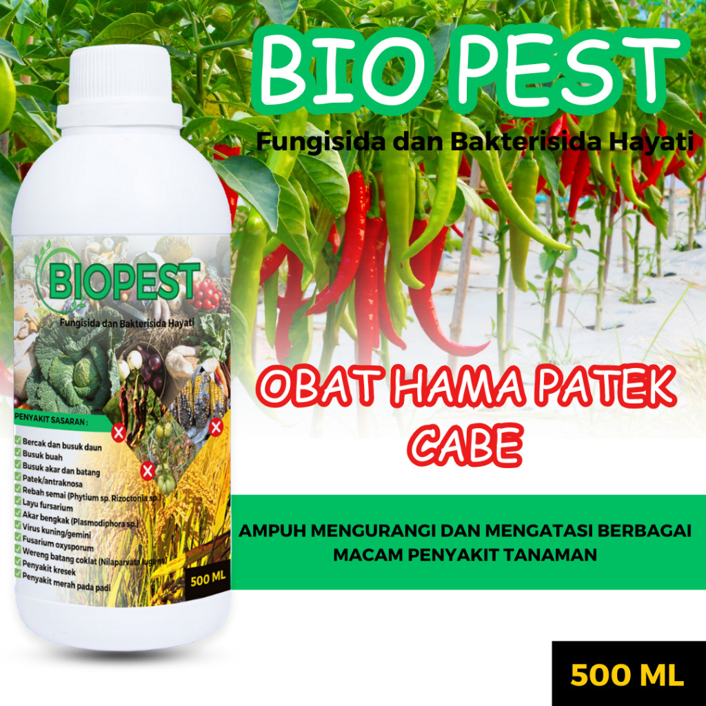 Jual BIOPEST OBAT HAMA PATEK CABAI 500 ML MENGATASI BERBAGAI MACAM PENYAKIT TANAMAN CABAI ...