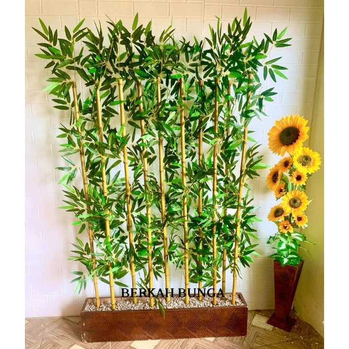 Jual Pohon Bambu Partisi T 150cm P100cm isi 10 Bambu Partisi Tanaman ...