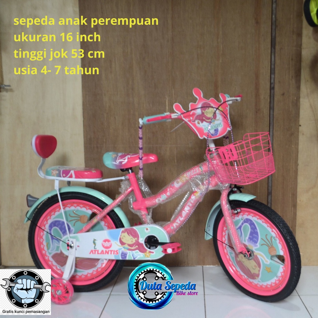 Jual Sepeda anak perempuan ukuran 16 inch Atlantis bell Trendy bunny ...