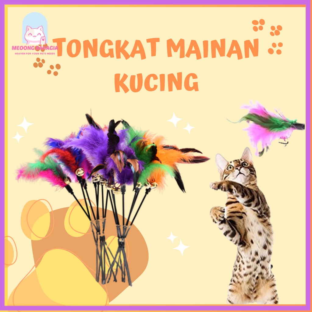 Jual Tongkat Bulu Ekor Ayam Untuk Kucing Dengan Kerincing Lonceng ...