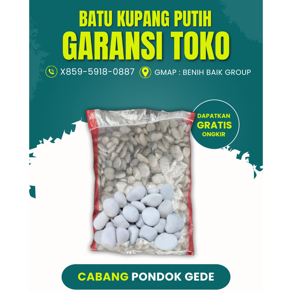 Jual Batu Koral Kupang Putih Hias Taman Tanaman Sebesar Koin 500 An 10 ...