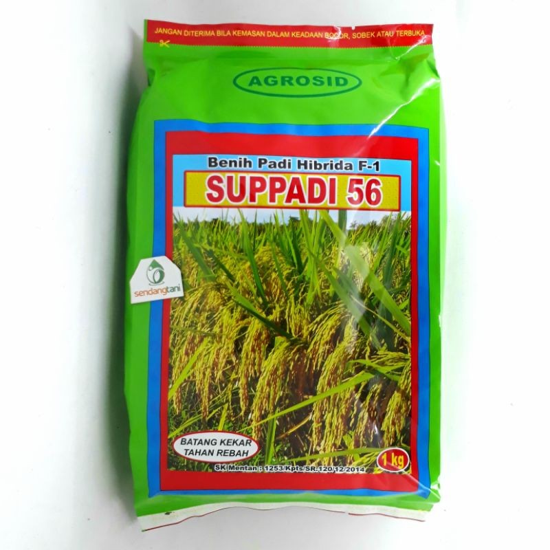 Jual Benih Padi Supadi SUPPADI 56 Hibrida F1 Original Agrosid | Shopee ...