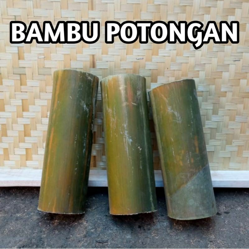 Jual bambu potongan/bambu hijau/bambu siap pakai brkah BRKH | Shopee ...