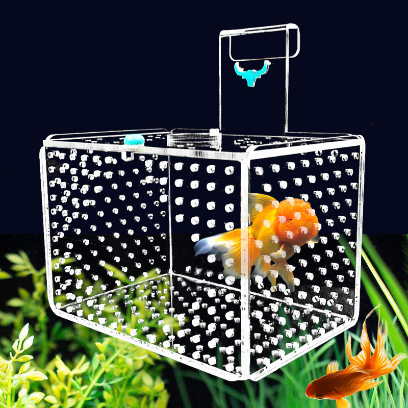 Jual Aquarium Incubator Transparent Acylic Fish Tank Isolation Box ...
