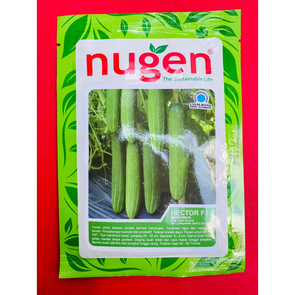 Jual Benih Timun HECTOR F1 kemasan 20gr dr Nugen Cocok untuk dataran rendah sampai menengah v ...
