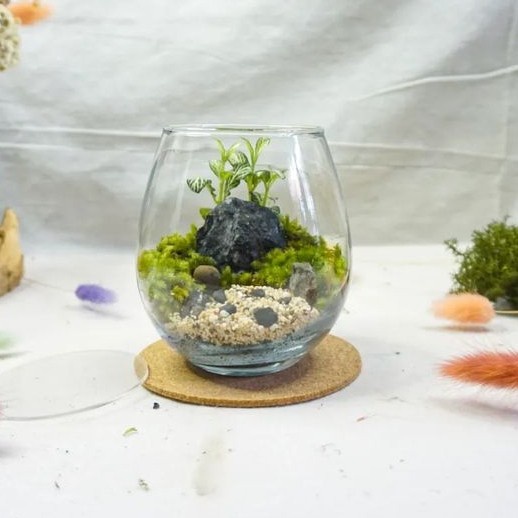 Jual Terrarium Mini Forest | Terrarium Closed Kado Unik | Shopee Indonesia