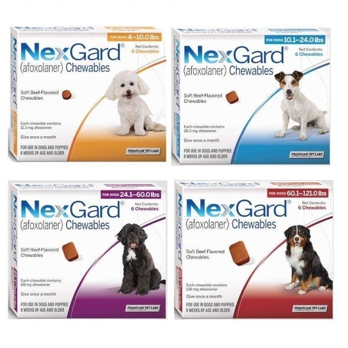 Jual Obat Kutu Anjing Nexgard Harga 1 tablet - Obat Kutu Anjing plus ...