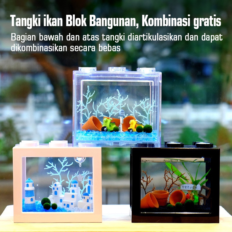 Jual Aquarium Mini Cupang 12x8cm Akrilik Akuarium Block Ikan Hias Emas ...
