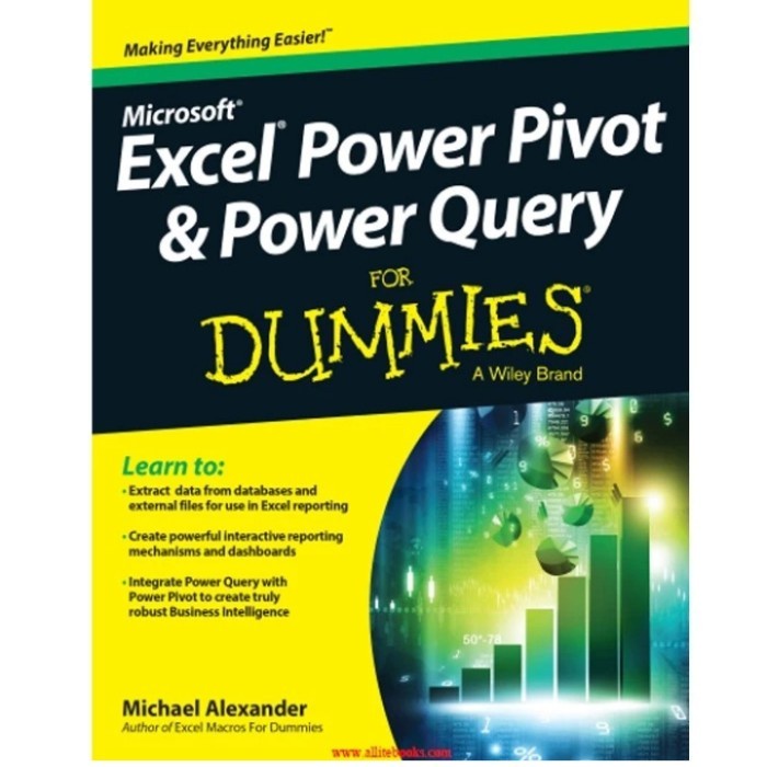 Jual Excel® Power Pivot & Power Query For Dummies | Shopee Indonesia