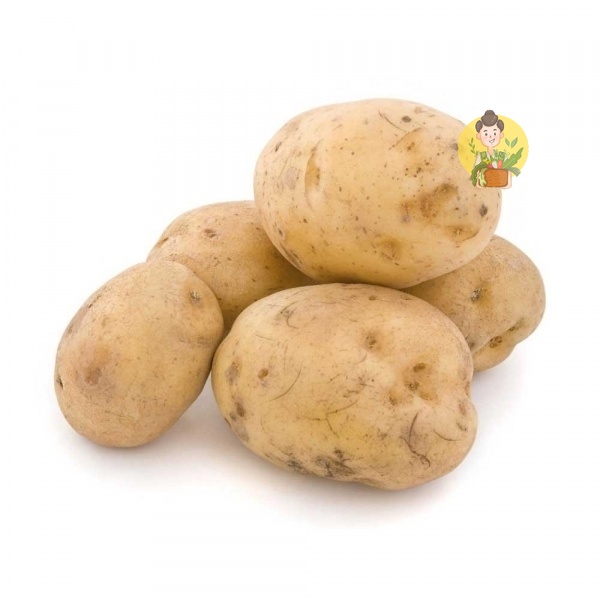 Jual Kentang Besar 1Kg | Shopee Indonesia