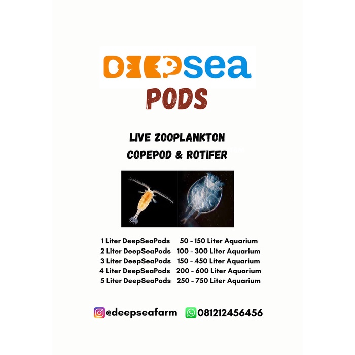 Jual DeepSeaPods Live Copepoda / Copepods & Rotifera / Rotifers (1000 ML) | Shopee Indonesia