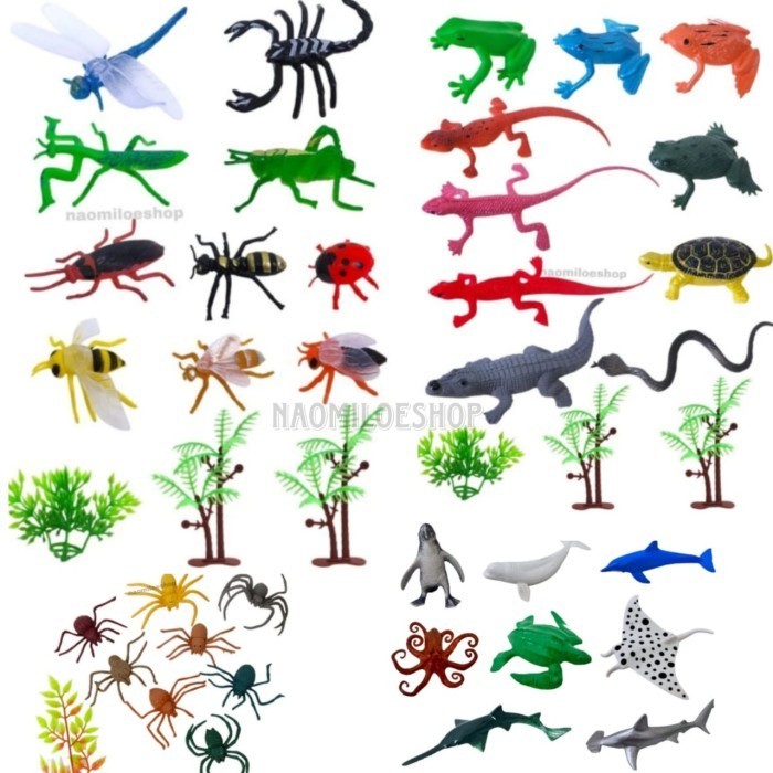 Jual Mainan Hewan Serangga/Mainan Simulasi Edukasi Bentuk Serangga ...