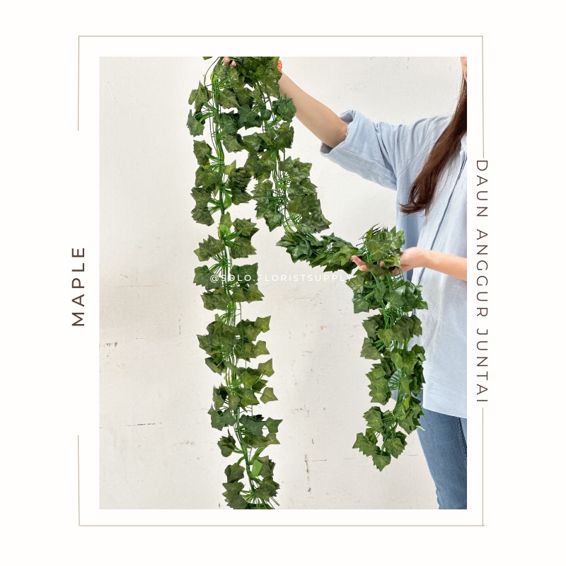Jual DAUN ANGGUR JUNTAI Plastik Bunga Rambat Sintesis Tanaman Hias ...