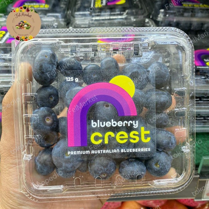 Jual Buah Blueberry Australia Crest Jumbo Premium | Blueberries Jumbo ...