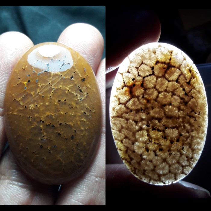 Jual Natural Batu Akik Motif Gambar Bunga Teratai Rumah Tawon Antik ...