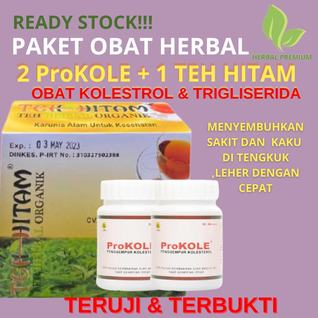 Jual Obat Kolesterol Penggempur Kolesterol Sakit Tengkuk Leher Kentalan ...