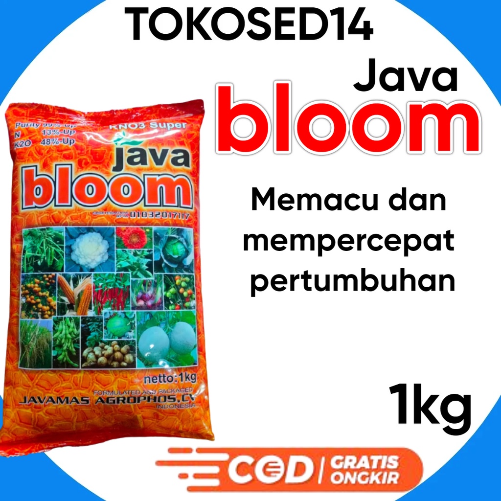 Jual Kno3 super java bloom pupuk tunas dan buah tanaman pengisi buah kalium javamas | Shopee ...