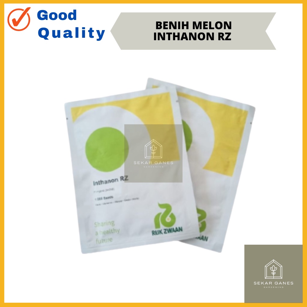 Jual NEW Biji Benih MELON INTHANON RZ F1 Ori - Repack 10 Bibit Biji ...