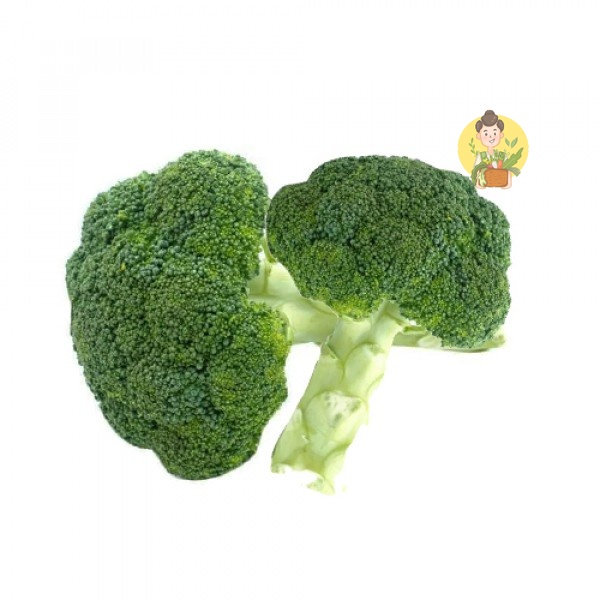 Jual Brokoli Hijau Fresh Tanpa Daun 250gr | Shopee Indonesia