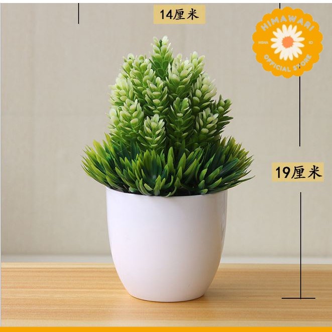 Jual HIMA - Pajangan bunga Artifisial PINUS MINI - GROSIR | Shopee ...