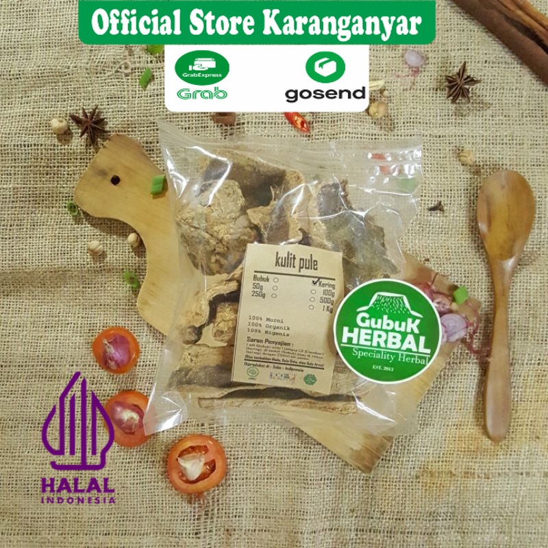 Jual KULIT PULE BABAKAN PULAI KERING 100 GRAM / Alstonia Scholaris ...