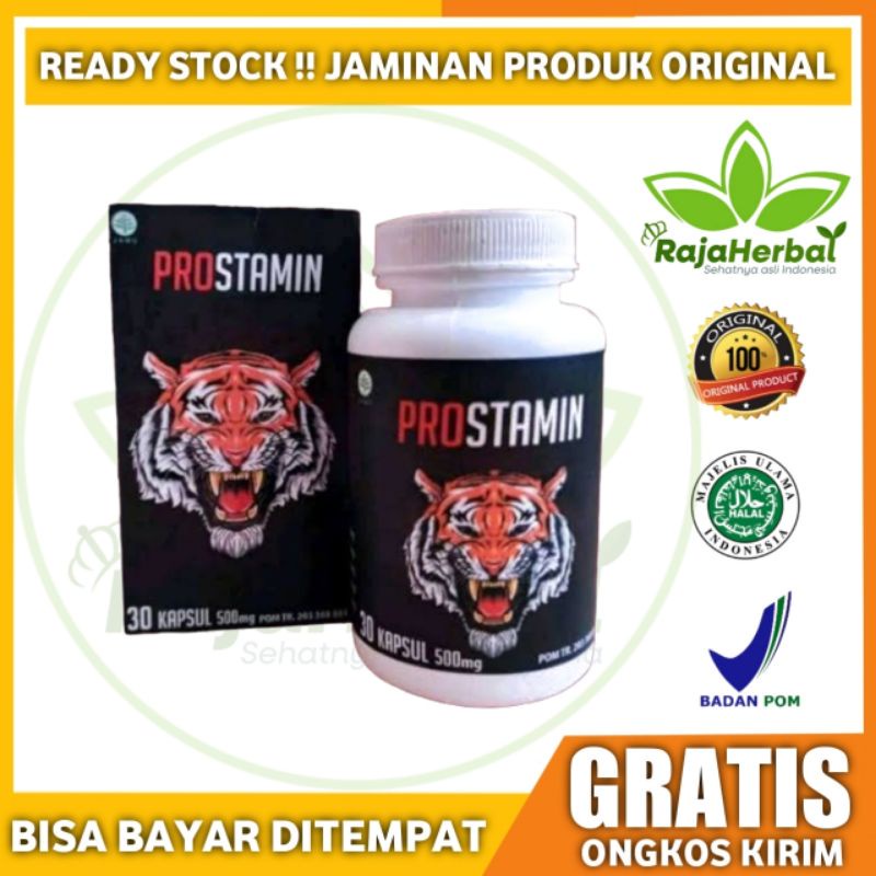 Jual Prostamin Asli 100% Original Obat Herbal Kuat Penunjang Performa Pria | Shopee Indonesia