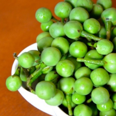 Jual 1kg Buah Takokak Segar Tekokak terung pipit (solanum torvum ...