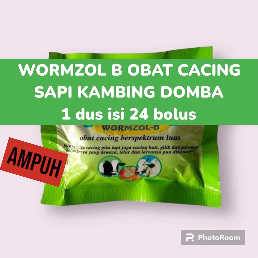 Jual WORMZOL 1 dus isi 24 Bolus obat cacing sapi kambing Domba Kerbau ...