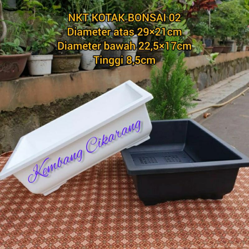 Jual (1pc) NKT BONSAI Kotak 02 (29x21cm) - Kotak 01 (22x16cm) : pot ...