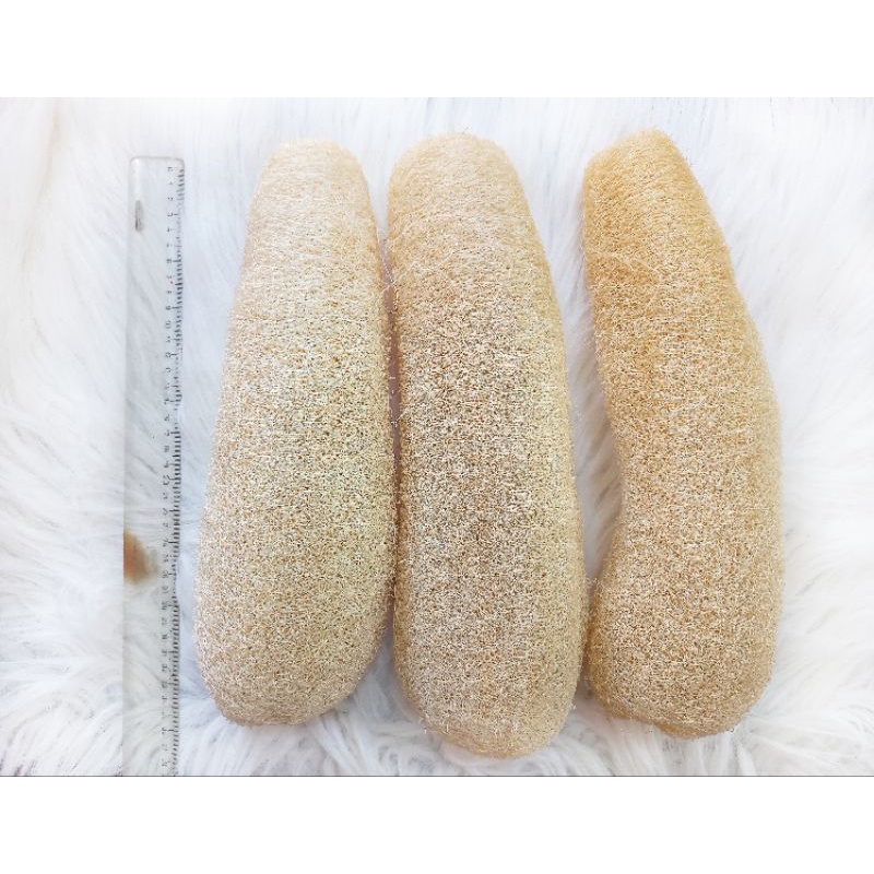 Jual Spon Cuci Piring / Natural Sponge Mandi / Oyong Gambas Kering ...