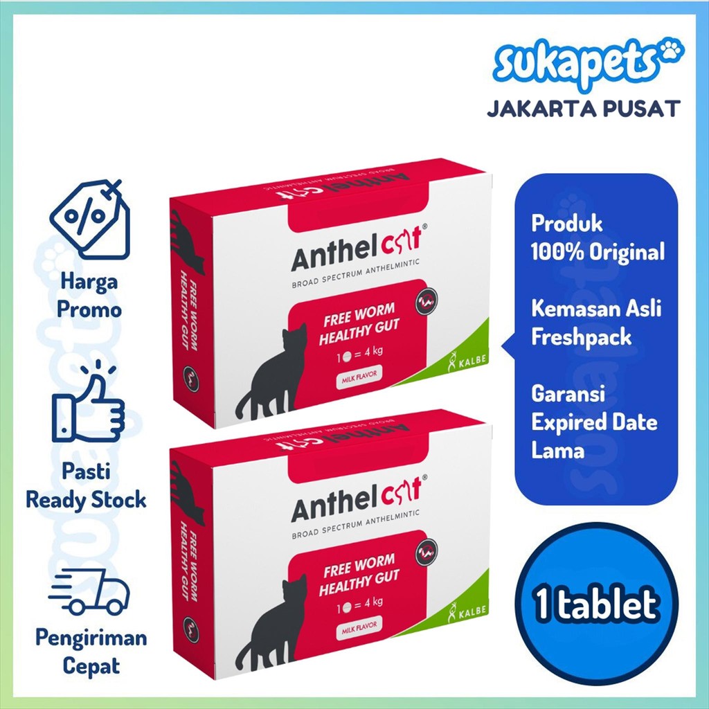 Jual Anthel Cat by Kalbe Obat Cacing Kucing 1 Tablet | Shopee Indonesia
