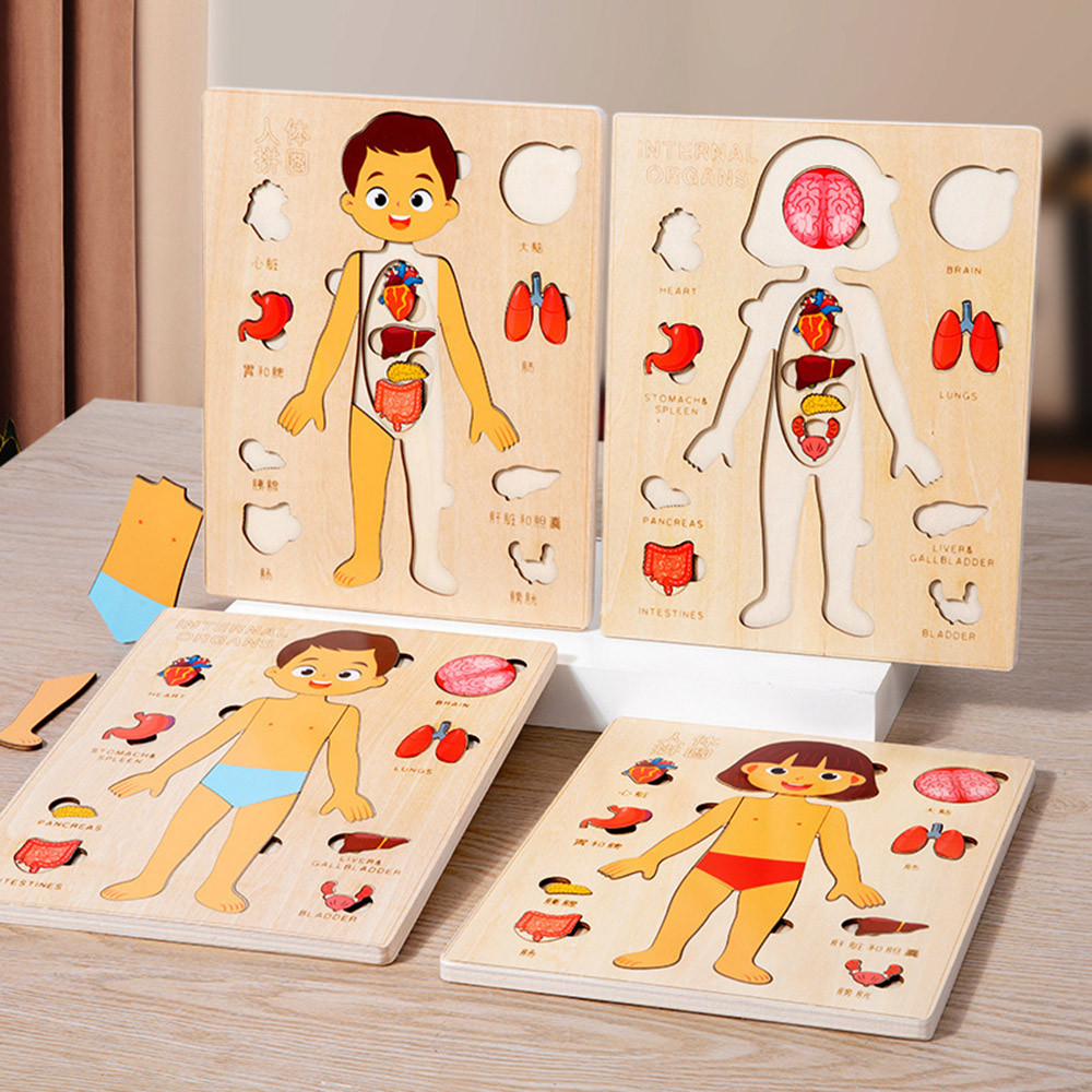 Jual Montessori Puzzles for Toddlers Human Body Puzzle Anatomy Play Set ...