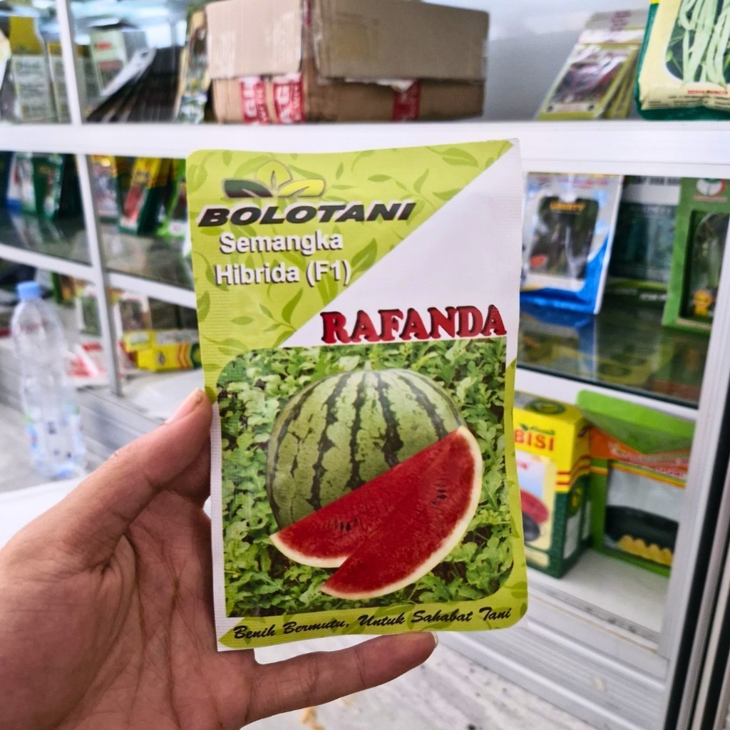 Jual Benih Semangka Hibrida Rafanda 20gr – Cocok untuk Budidaya Organik ...