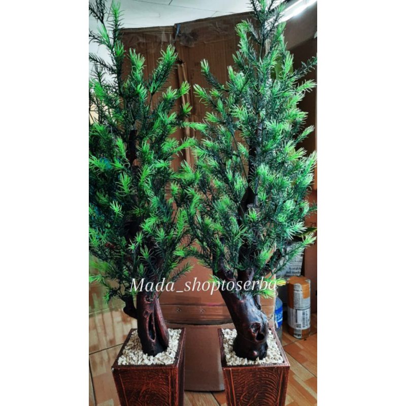 Jual Pohon cemara atau pinus pohon natal dengan pot jumbo mewah ...